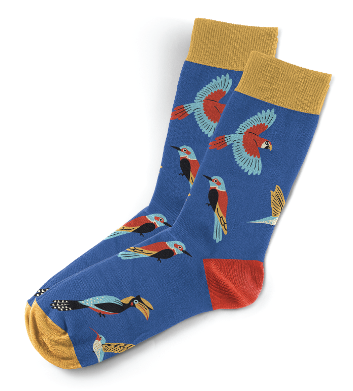 Birds Socks | Sillies Men & Women, Novelty Fun Socks, Cotton Blend ...