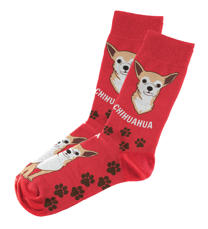 Chihuahua Socks | Sillies Men & Women, Novelty Fun Socks, Cotton Blend ...